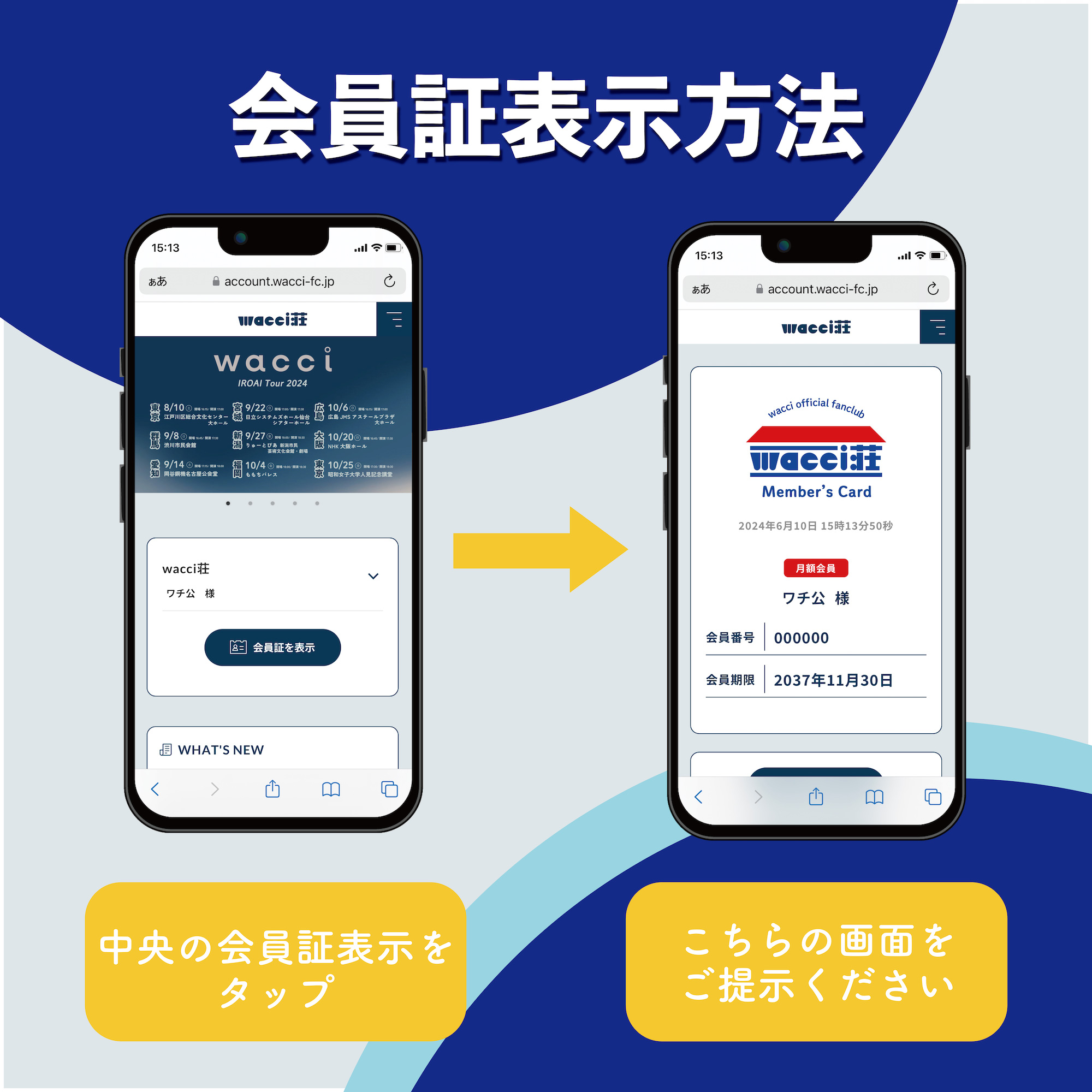 wacci荘｜CONTENTS詳細